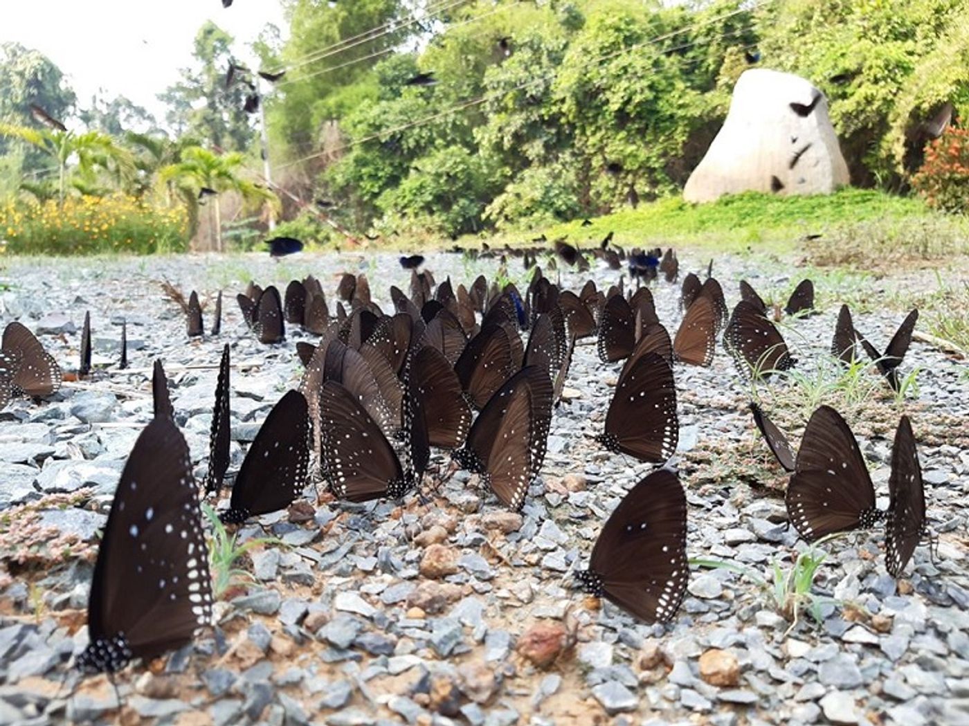 Lo Go-Xa Mat National Park: A Sanctuary of Biodiversity and History